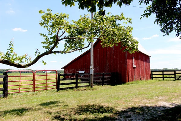 Central Illinois Farm Beginnings Graduate Profile: Gail Record - The ...