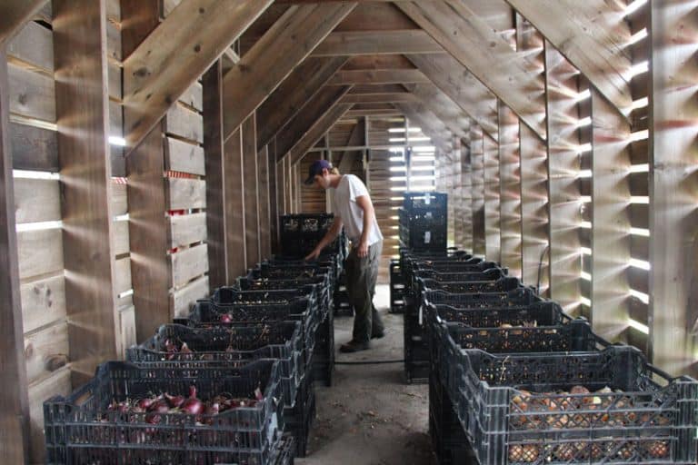 Gray Farms Produce - The Land Connection