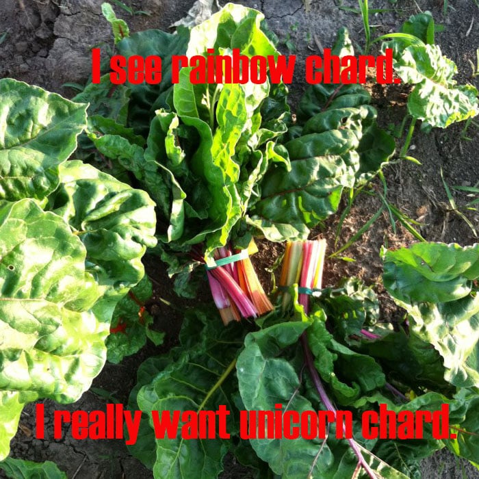 my imagination hurts - The Land Connection