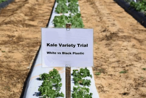 On Farm Variety Trials: Designing a Screening Trial - The Land Connection