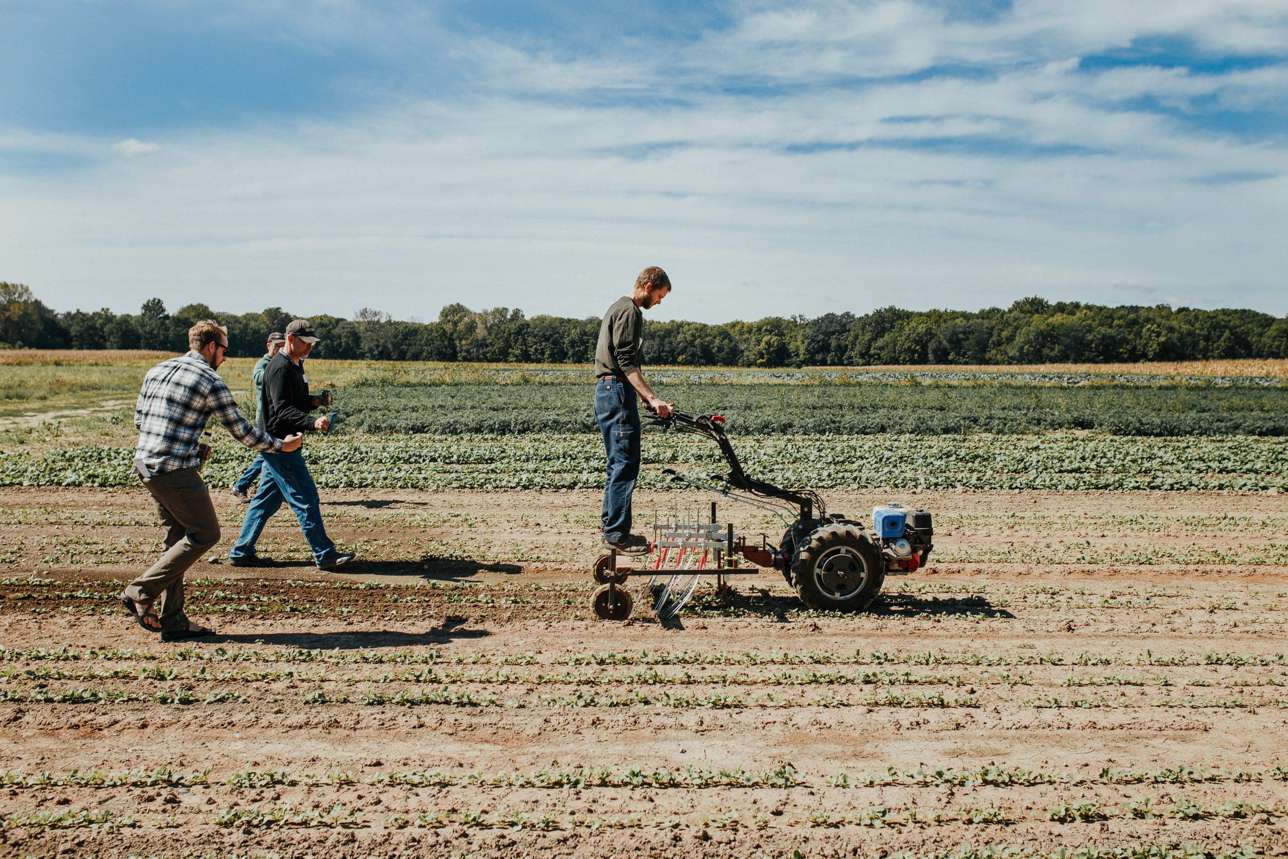 Principles of Mechanical Weed Control - The Land Connection