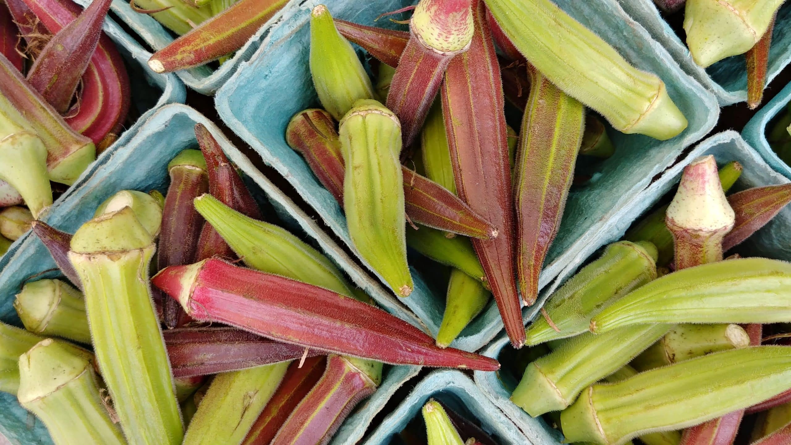 Okra, Not Just For Gumbo - The Land Connection