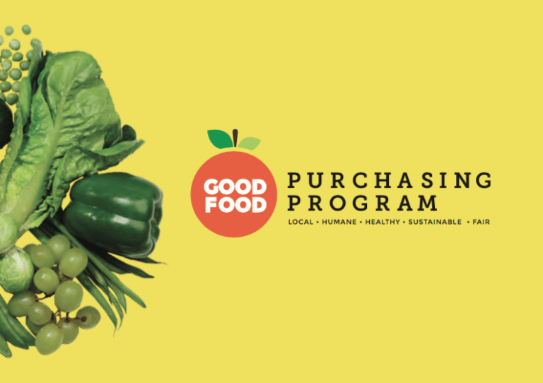 Transforming the Food System, One Tray at a Time - The Land Connection