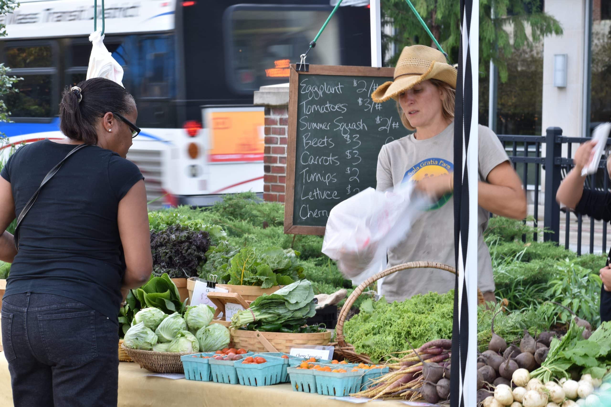 Think Global Local. Act Local - The Land Connection