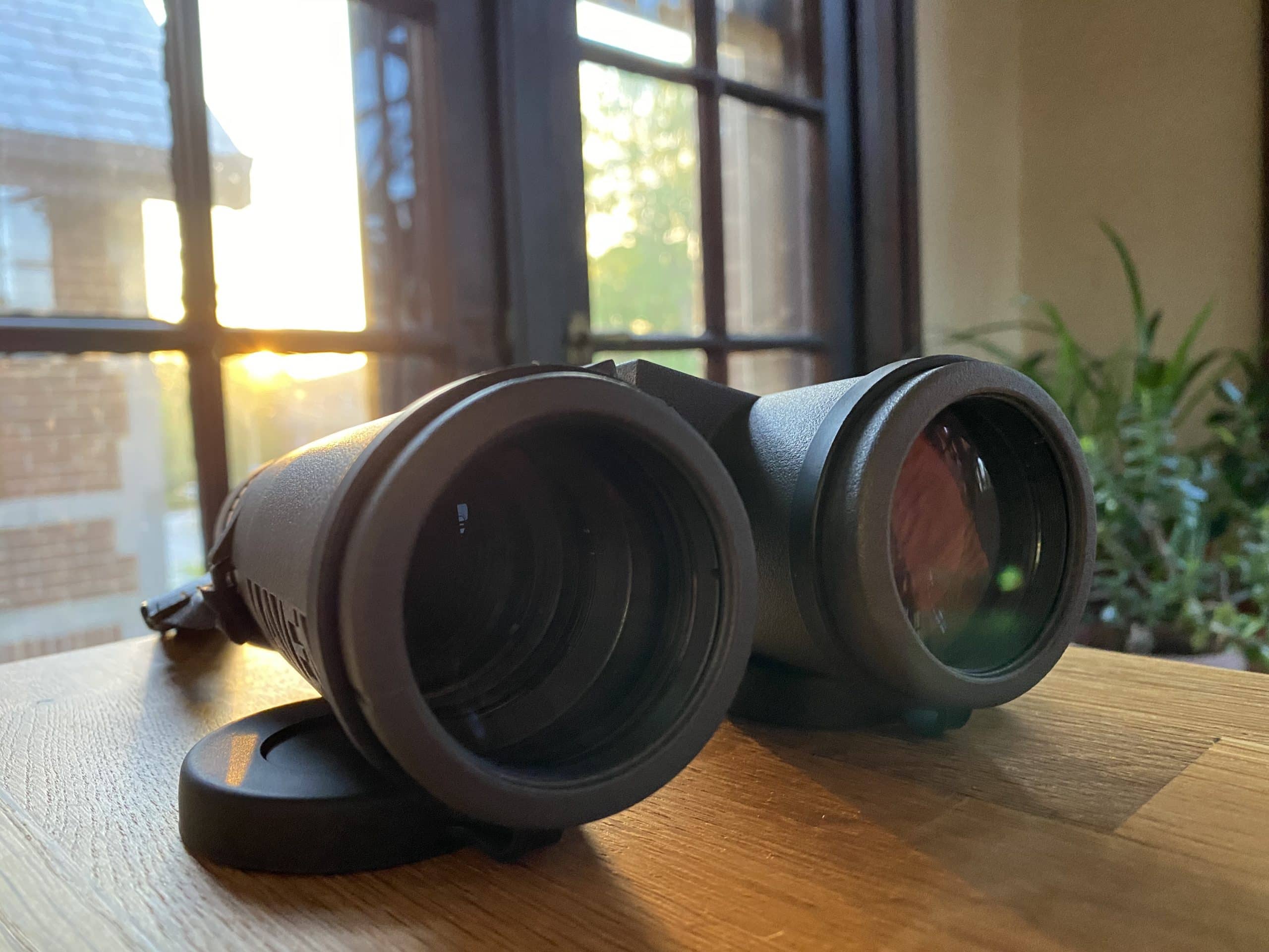 Stay-at-Home Snapshots - Week "4" - The Land Connection