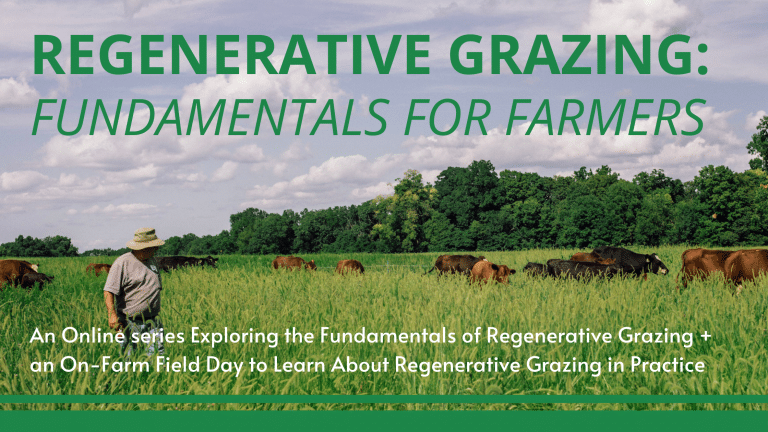 Regenerative Grazing: Fundamentals for Farmers - The Land Connection