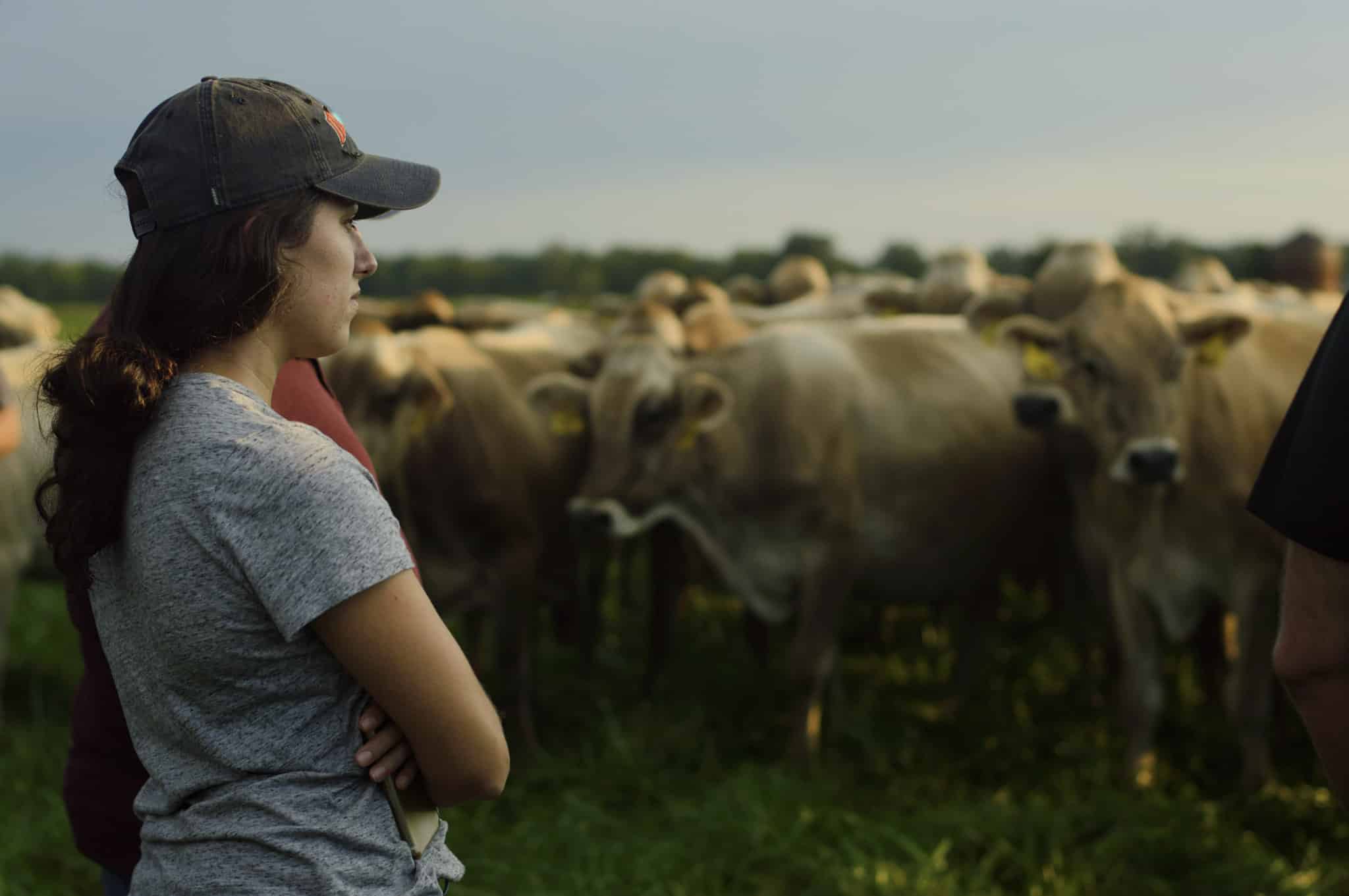 Regenerative Grazing: Fundamentals for Farmers - The Land Connection