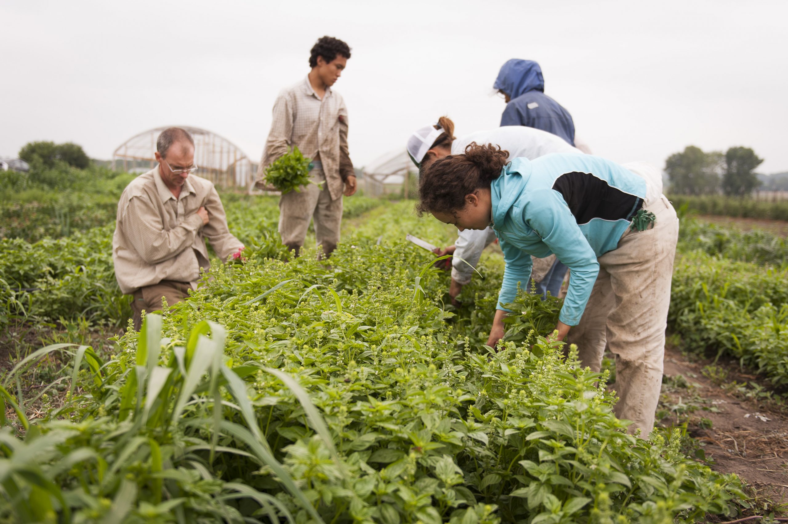 Part 4: Balance Sheets - The Land Connection