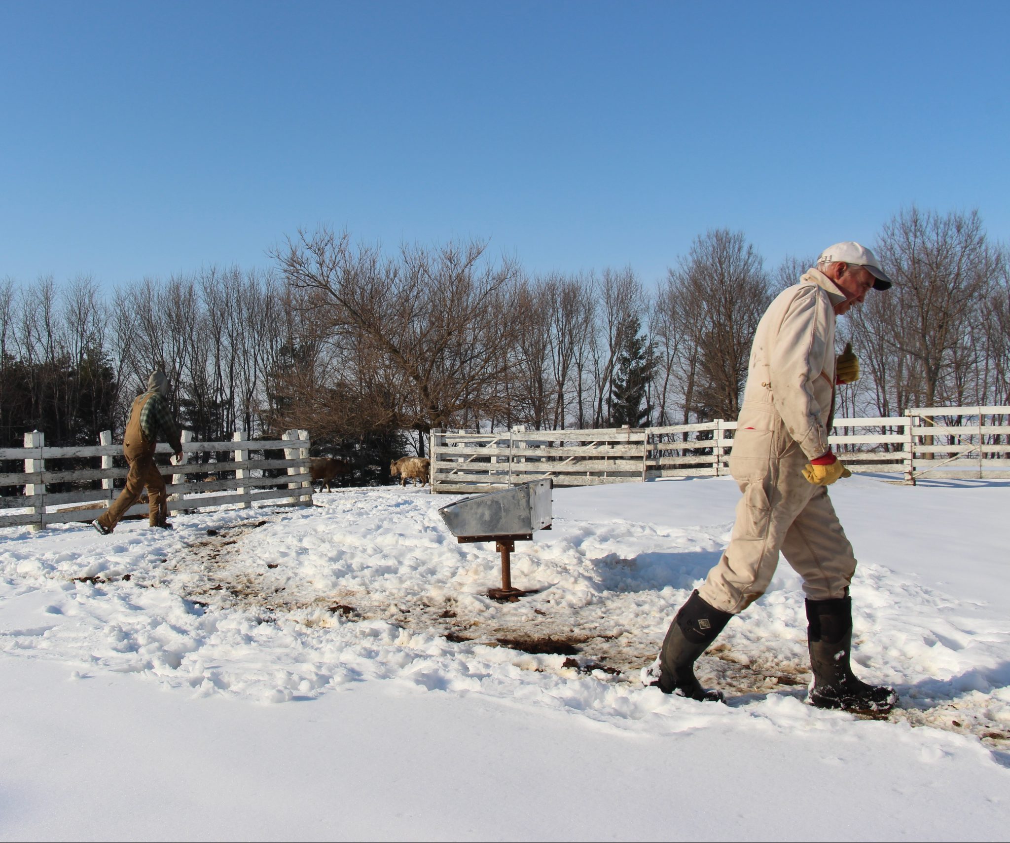 Part 2: Whole Farm Revenue Protection - The Land Connection