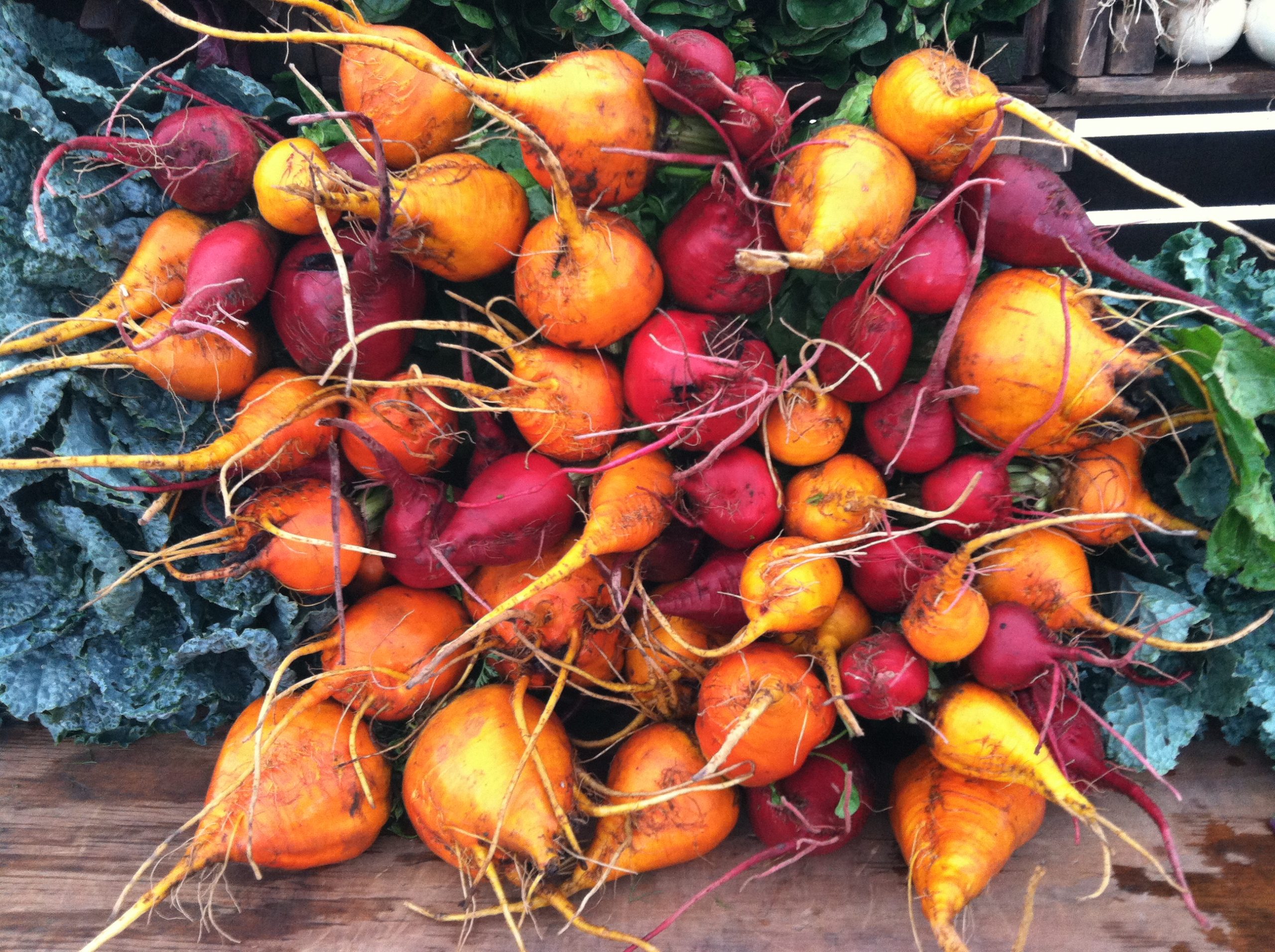 Part 1: Overview - The Land Connection