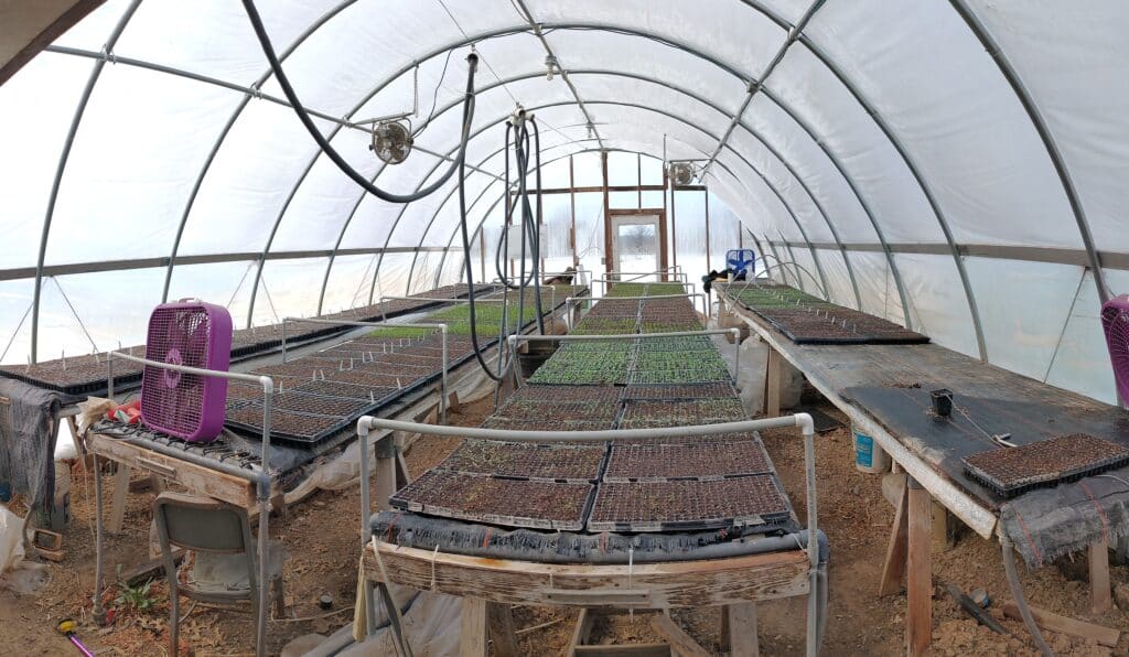 Understanding Seasonality| Rhythm of Seasons: Produce, Mushrooms ...